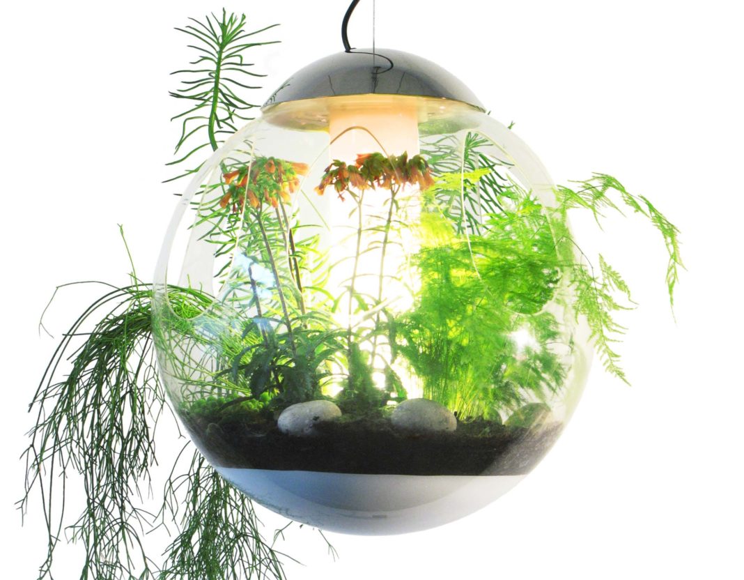 Le végétal au cœur du design - Lorraine Magazine