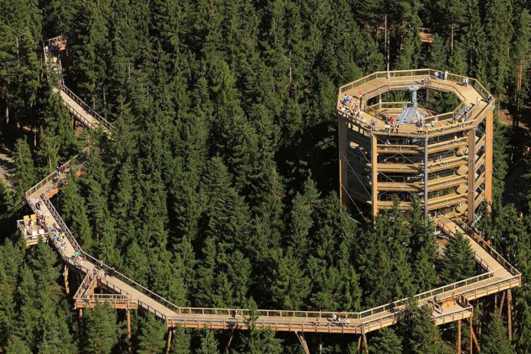 Le Massif des Vosges cueille le printemps ! - Lorraine Magazine