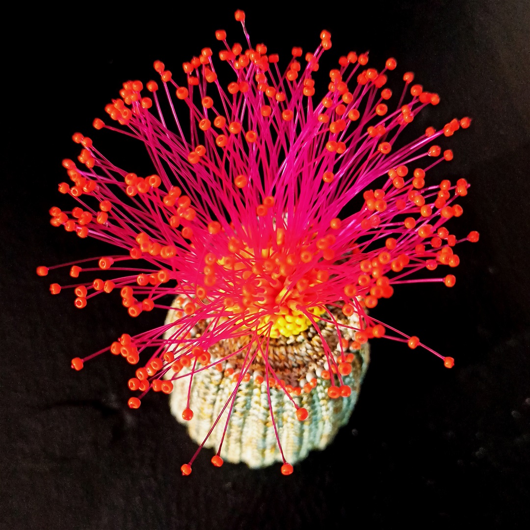 Cousu de fil rouge, place au merveilleux ! - Lorraine Magazine